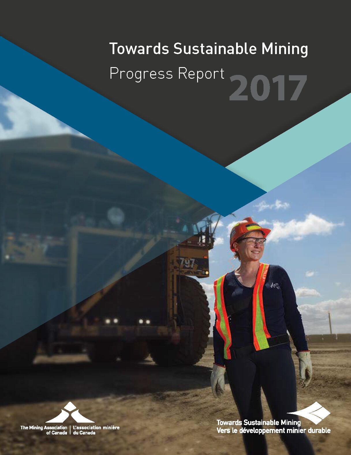 TSM Progress Report 2017 - The Mining Association of Canada