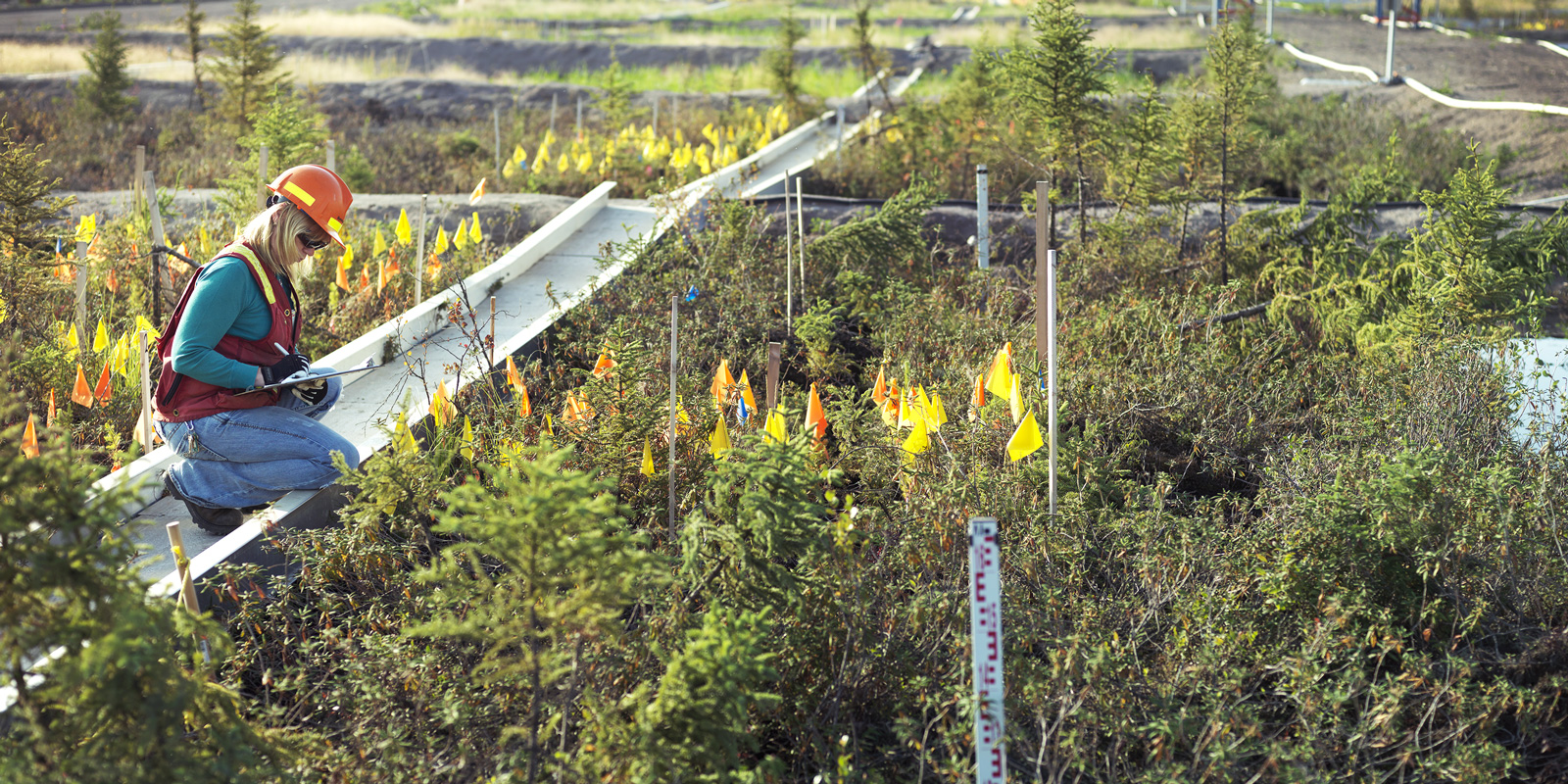 Syncrude Reclamation / Lynne Barlow - The Mining Association of Canada